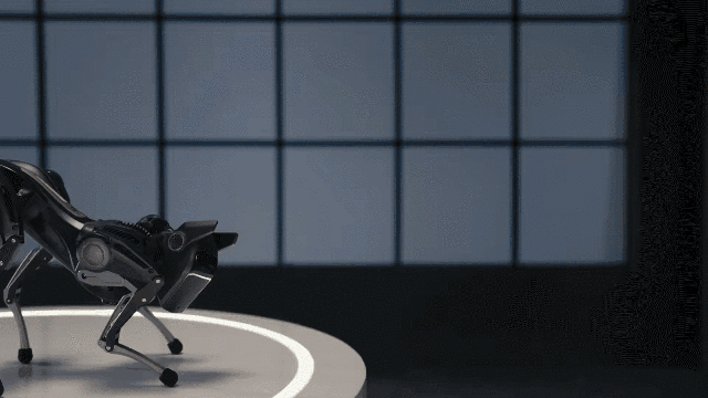 Hello from HENGBOT | HENGBOT